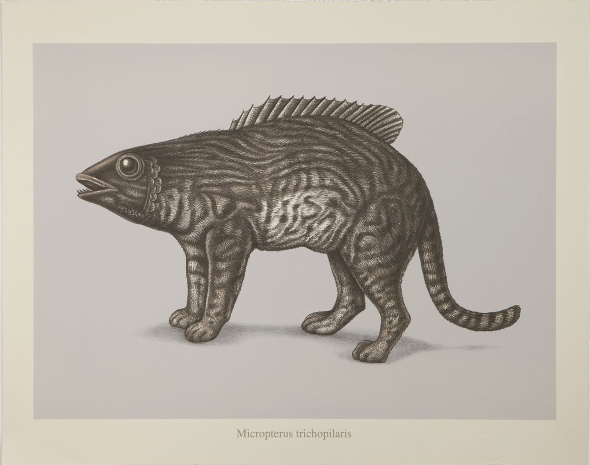 On View: 'Envisioned Worlds - Lithographs from the Hokes Archives ...