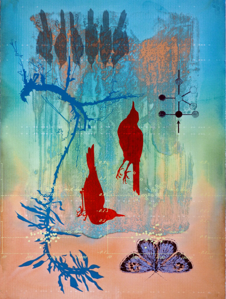 Re-membering / Contemporary Indigenous Printmaking - UW ART