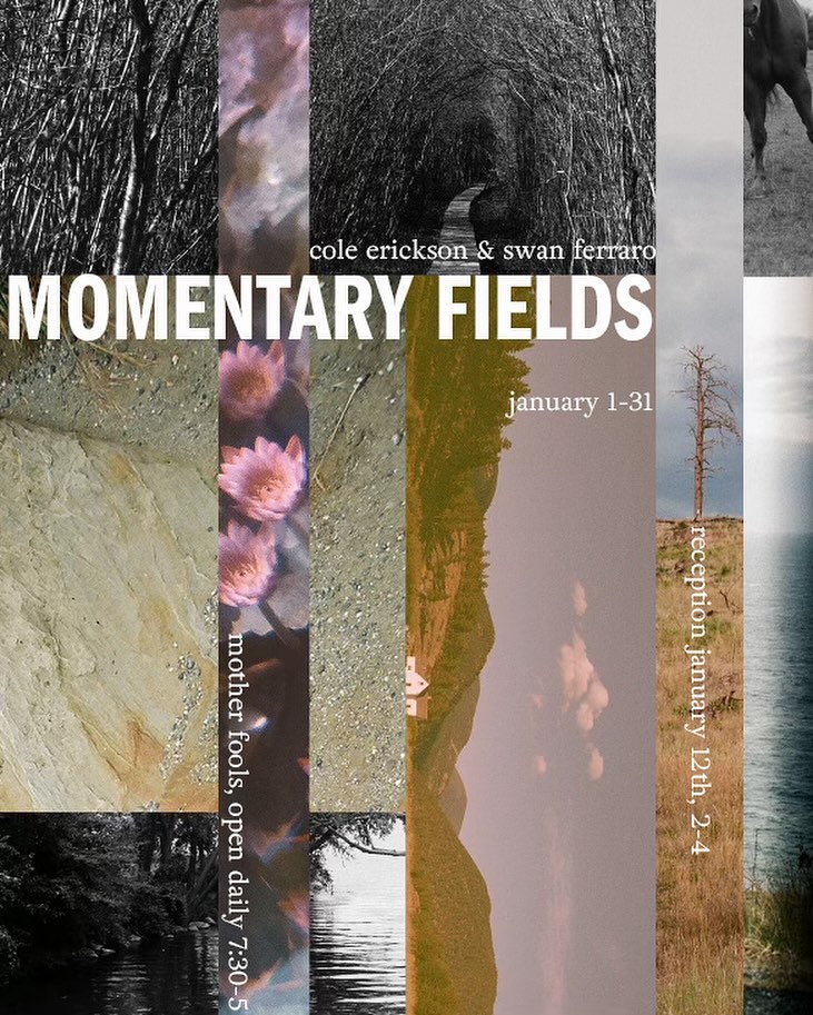 Momentary Fields by Cole Erickson & MFA Candidate Swan Ferraro - UW ART