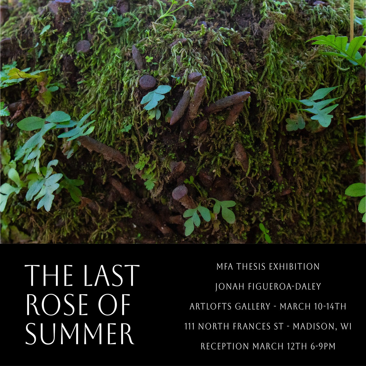 The Last Rose of Summer: Master of Fine Arts Thesis Exhibition by Jonah ...