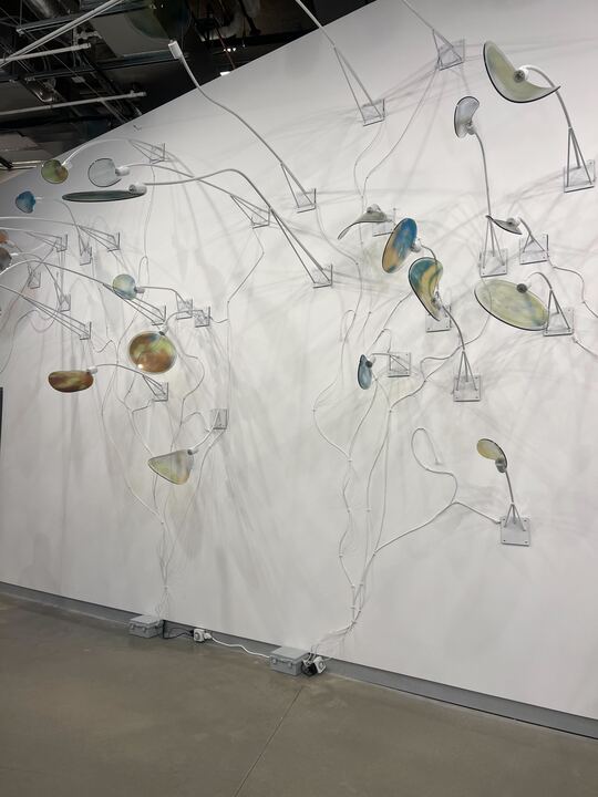 Experimental exhibitions on display at Arts + Literature Laboratory by ...