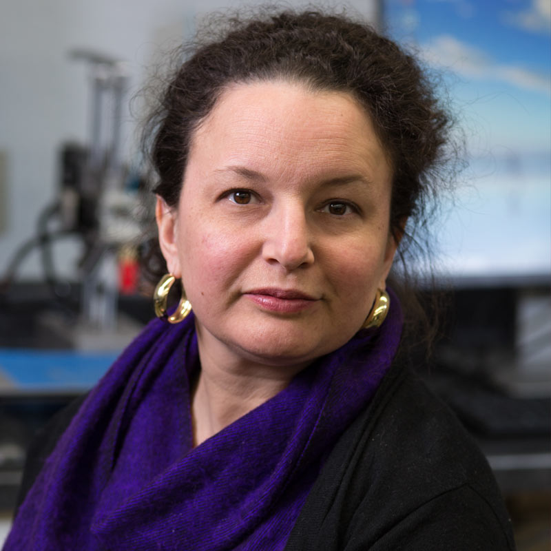 Mitchell, Meg - Professional Learning and Community Education (PLACE)